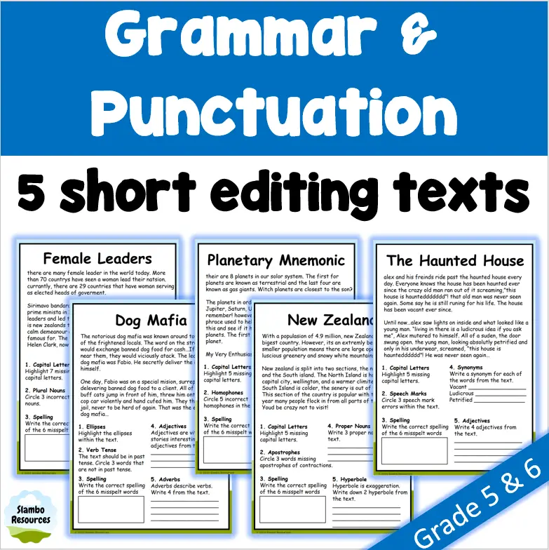 Grade 4, 5 & 6 Editing Texts | Short Stories