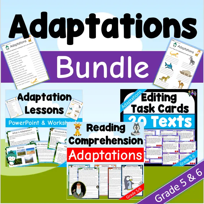 Adaptations Bundle | Lesson, Worksheets, Reading Comprehension & Task Cards