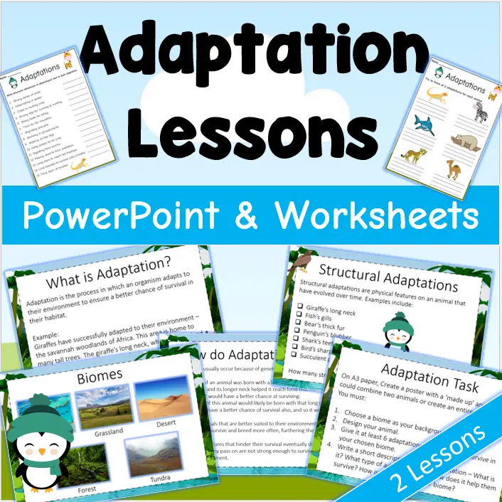 Adaptations Lessons | PowerPoints, Worksheets & Activity
